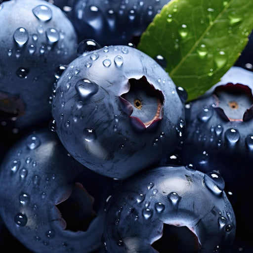 Fruits Wall Art – Page 2 | NicheCanvas