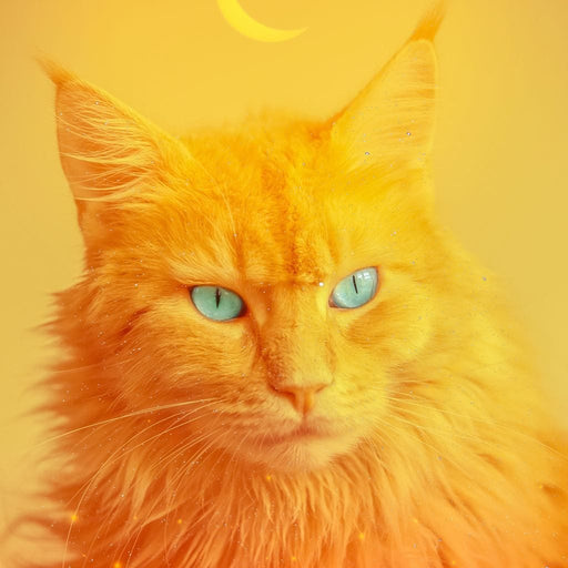 Gen Z Wall Art | NicheCanvas